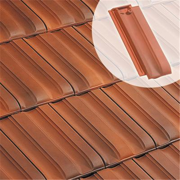 Tuile Pv10 Prix M2