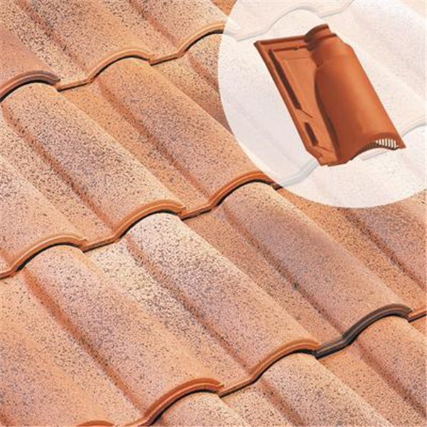 Tuile chatière en terre cuite - Méridionale Poudenx - section 20 cm² ...