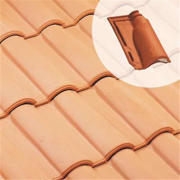 Tuile chatière en terre cuite - Méridionale Poudenx - section 20 cm² - Rose