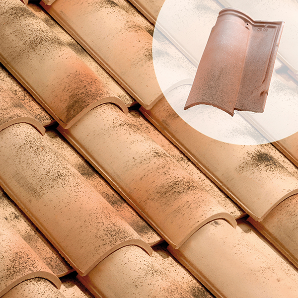 Tuile en terre cuite - Plein Sud Gélis - emboîtement grand moule ...