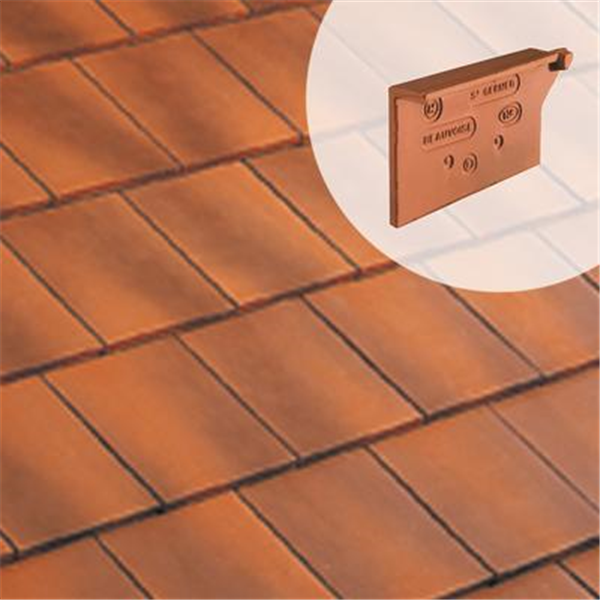 Tuile de rive indiv. gauche Beauvoise