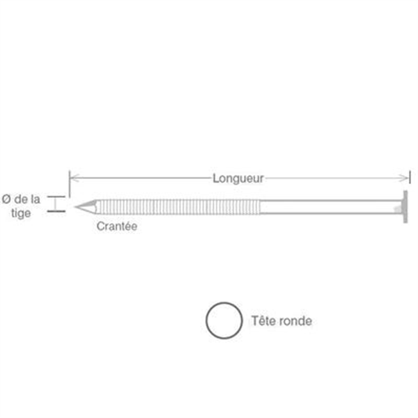 Pointes inox A4 SPIT rouleau cloueur pneumatique Ø2,5x55mm 1950 pcs