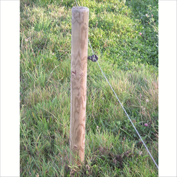 Piquet de clôture en pin - bois traité classe 4 vert - 80,0 MM x 2,00 M